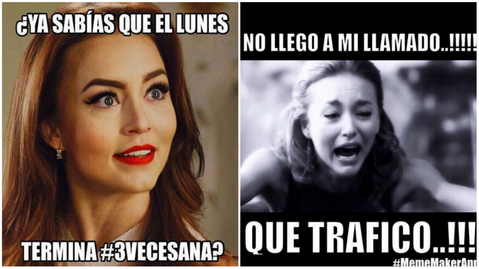 A Angelique Boyer le gustan tanto estos memes sobre ella que hasta los ...