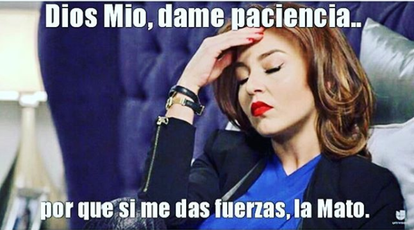 A Angelique Boyer le gustan tanto estos memes sobre ella que hasta los ...
