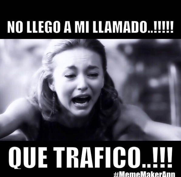 A Angelique Boyer le gustan tanto estos memes sobre ella que hasta los ...